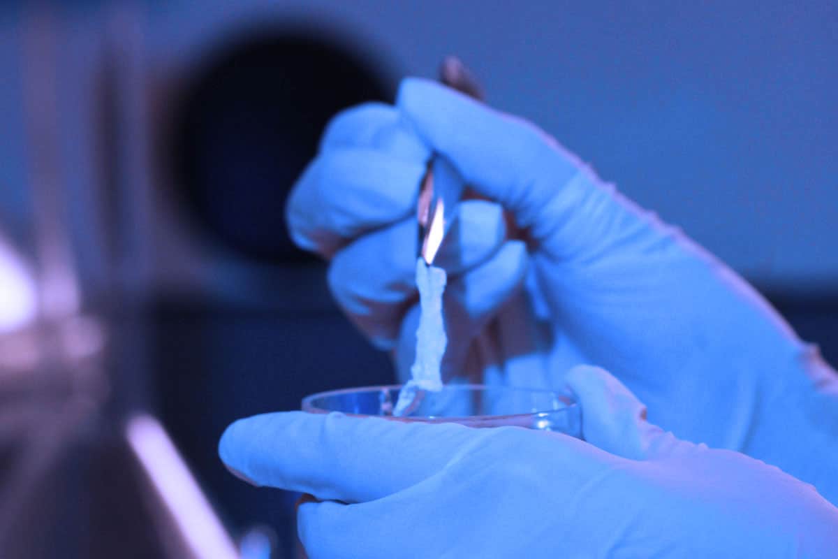 Ciclo XXIX - Dottorato di Ricerca in Bioingegneria e Bioscienze - UCBM